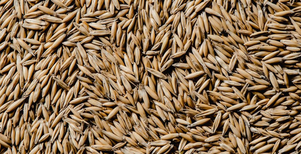 Boost your skincare with oat extract - Twelve Beauty